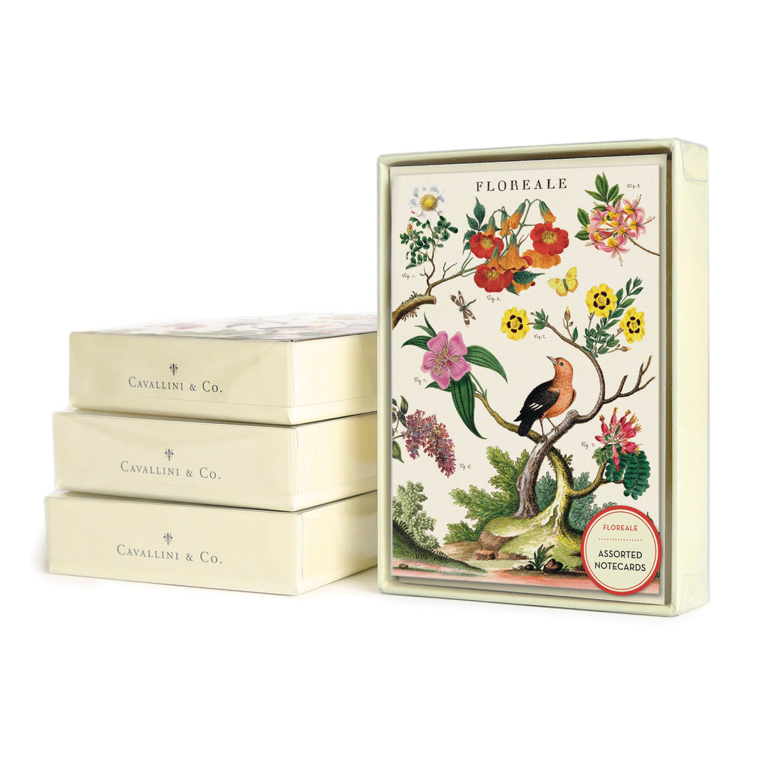 Cavallini & Co. Boxed Cards – Stocklist