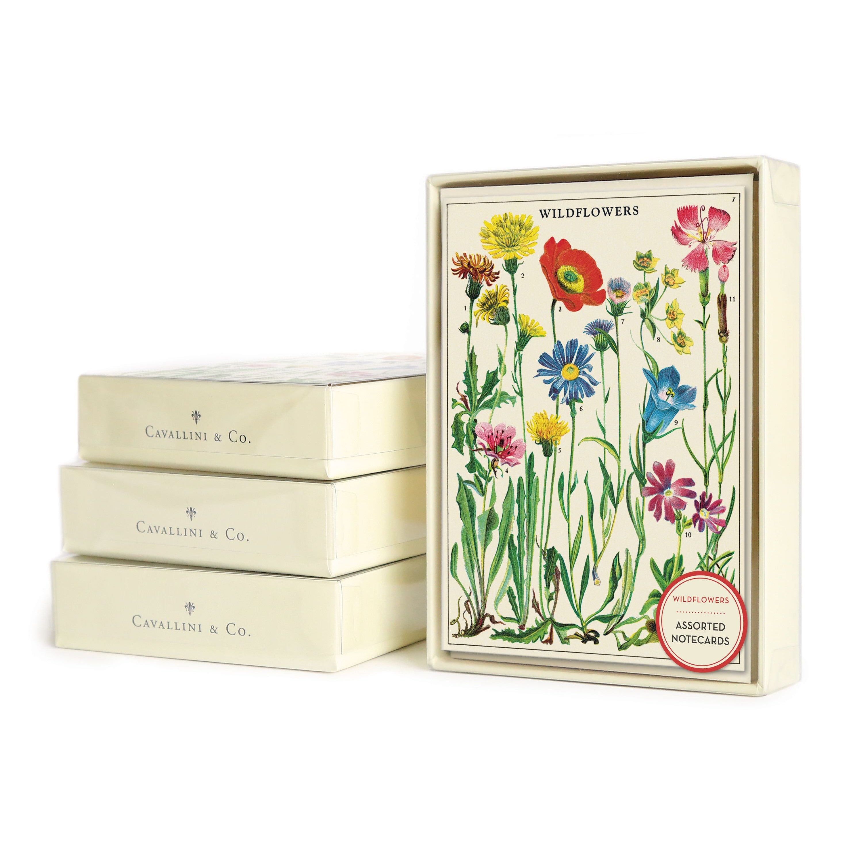 Cavallini & Co. Boxed Cards – Stocklist