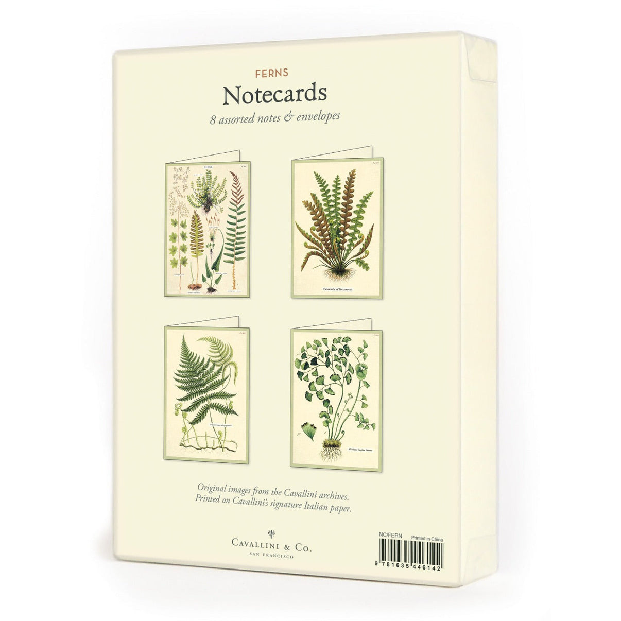 Cavallini & Co. Boxed Note Cards - Ferns – Stocklist