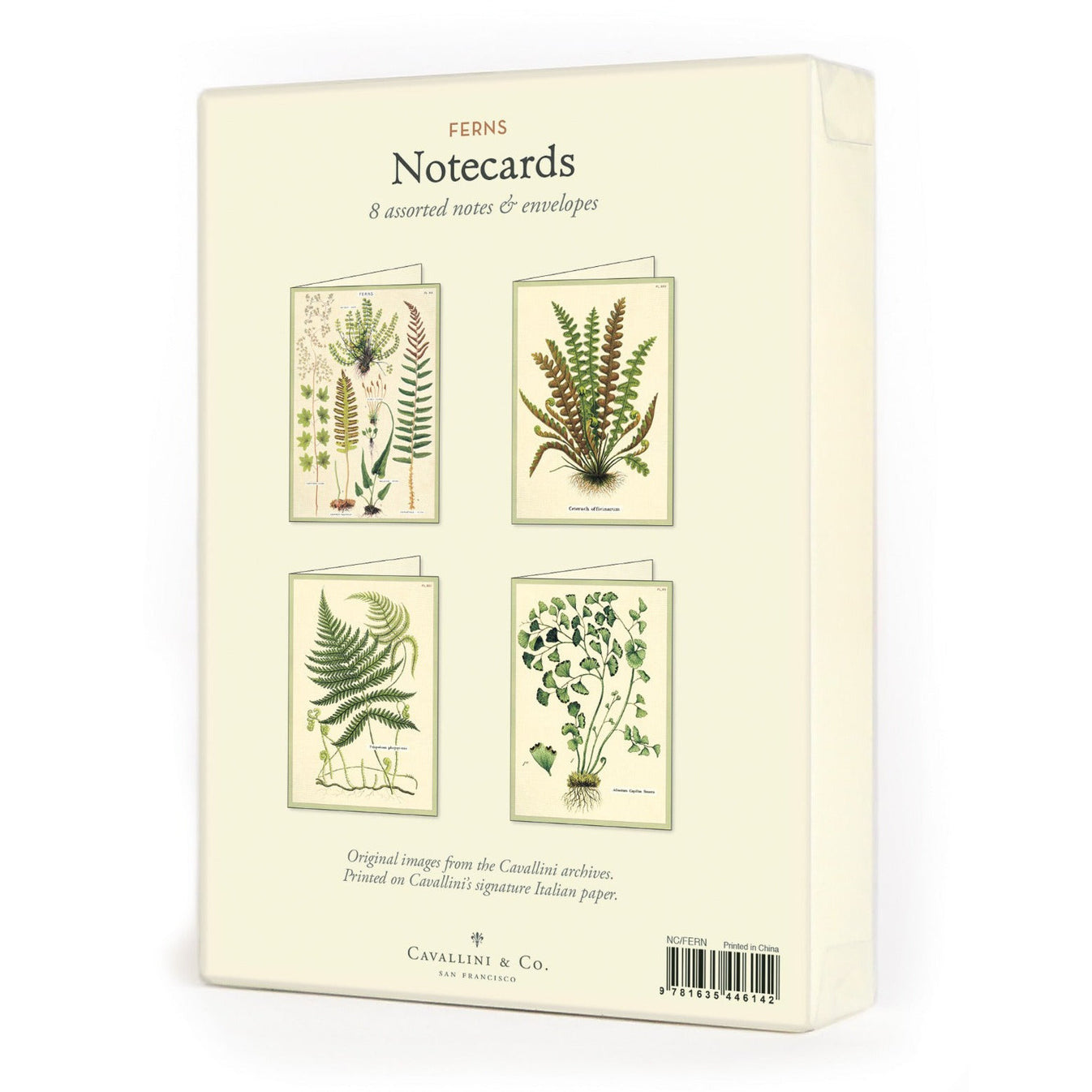 Cavallini & Co. Boxed Note Cards - Ferns – Stocklist