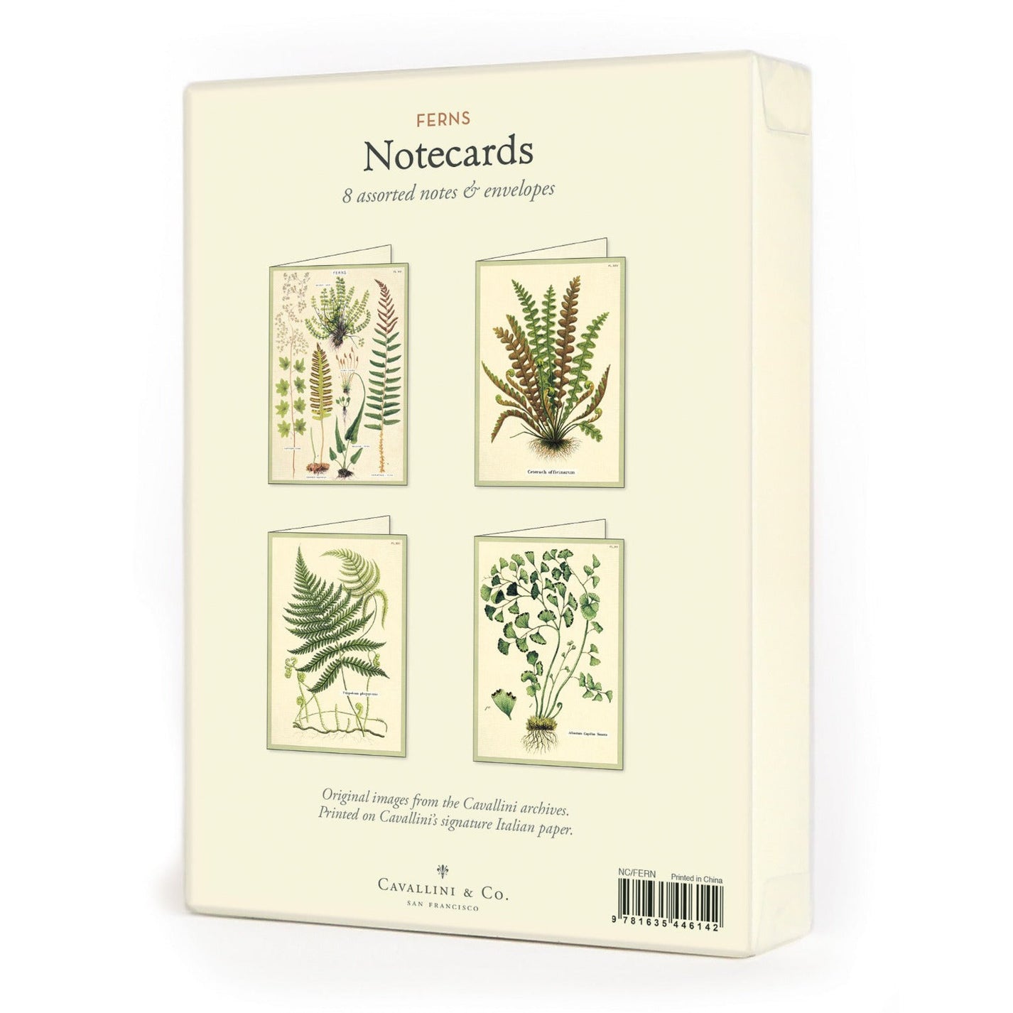 Cavallini & Co. Boxed Note Cards - Ferns – Stocklist
