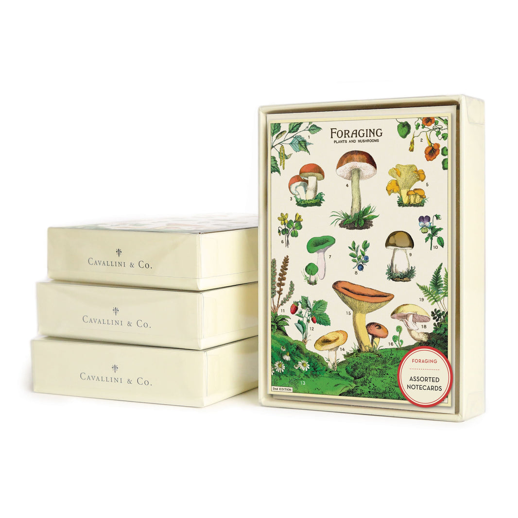 Cavallini & Co. Boxed Cards – Stocklist