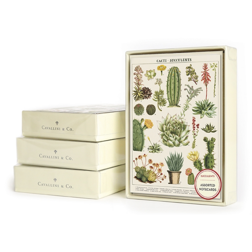 Cavallini & Co. Boxed Note Cards - Succulents – Stocklist